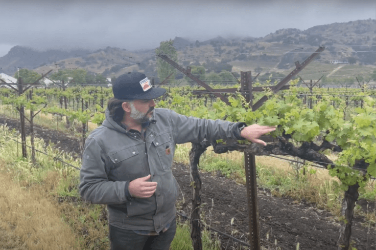 Ryan Decker on the Art & Science of Growing Good Grapes | Lumo
