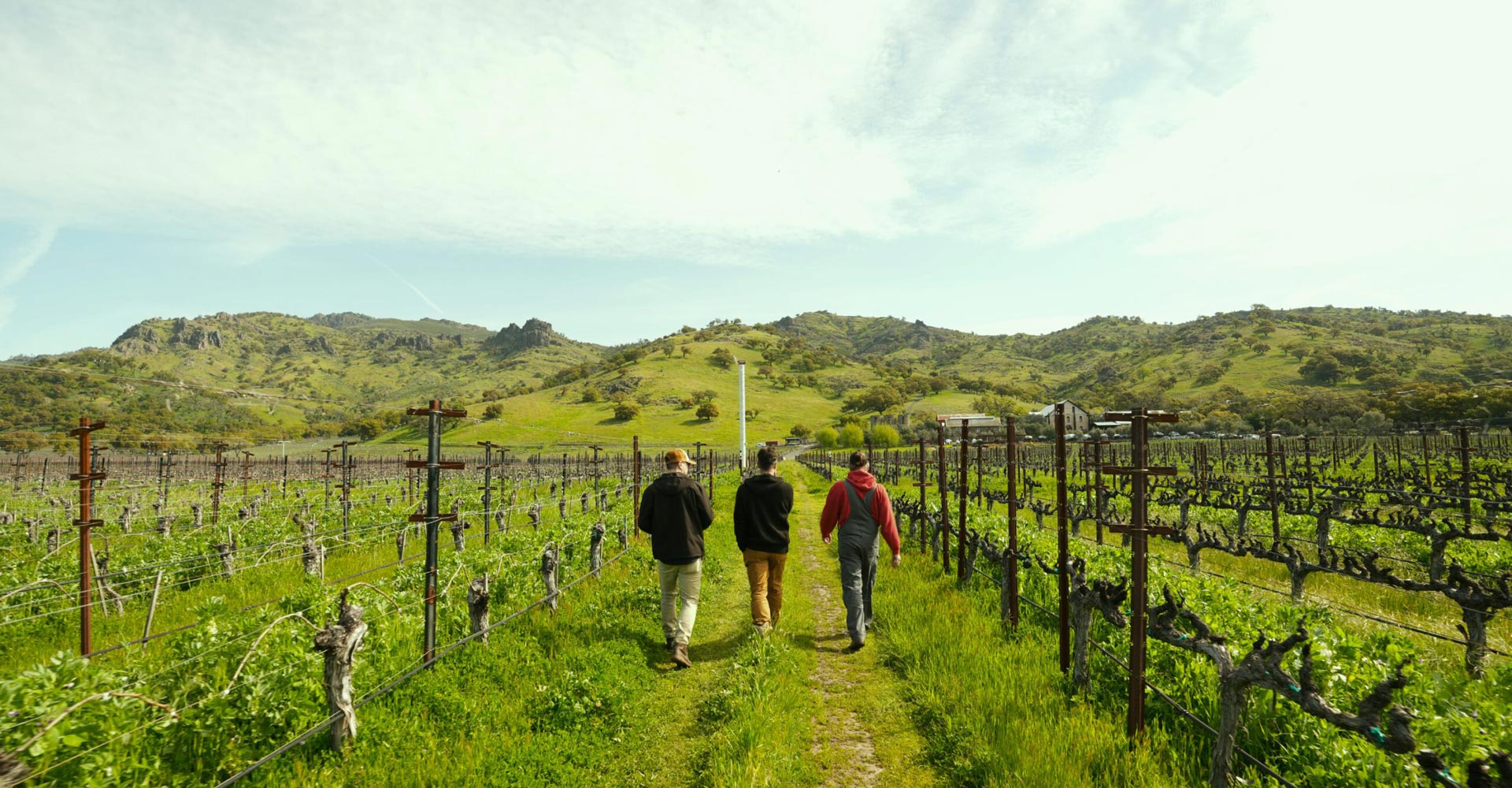 Meet The Team | Know Who's Walking Around In Your Vines | Lumo